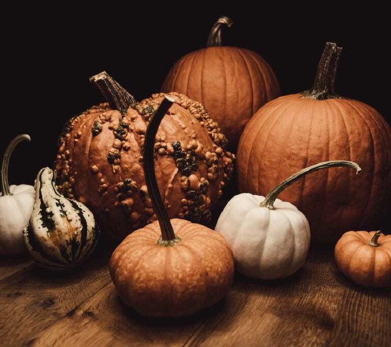 The Pumpkin Princess Company – Princess Company